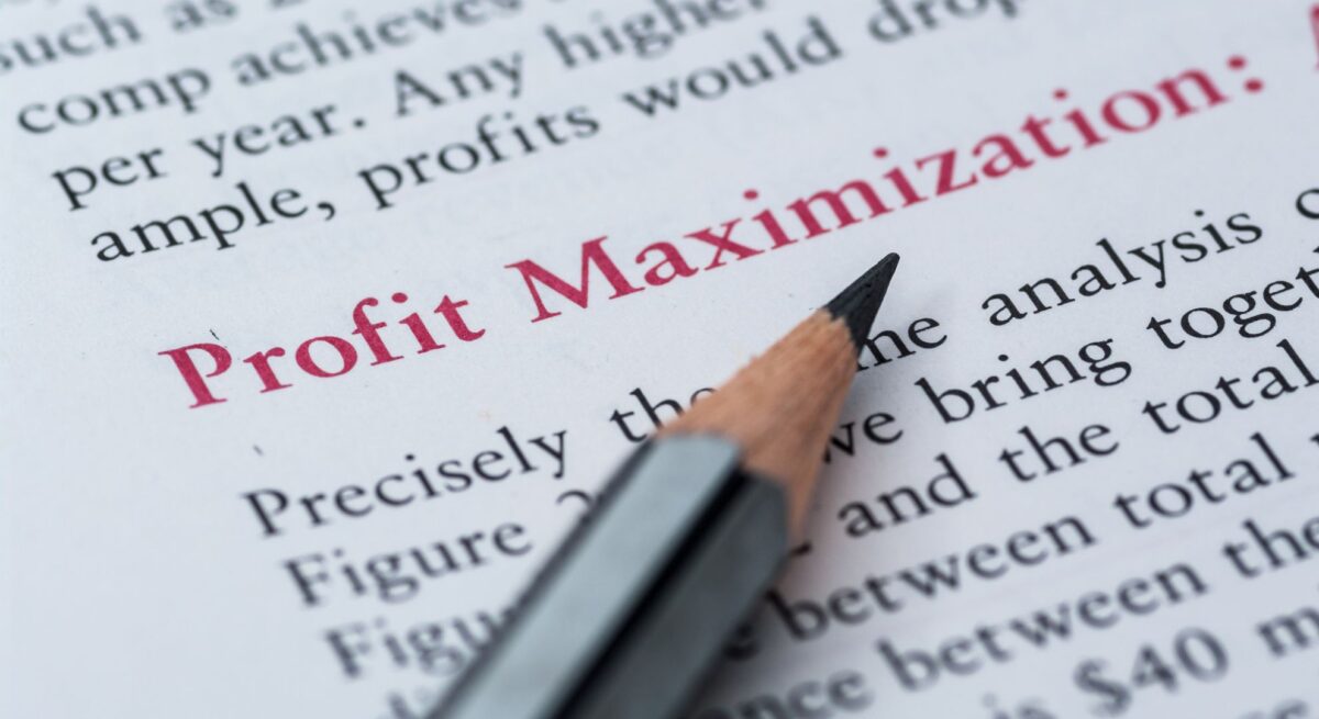 The Art of Profit Maximization – Business Profit